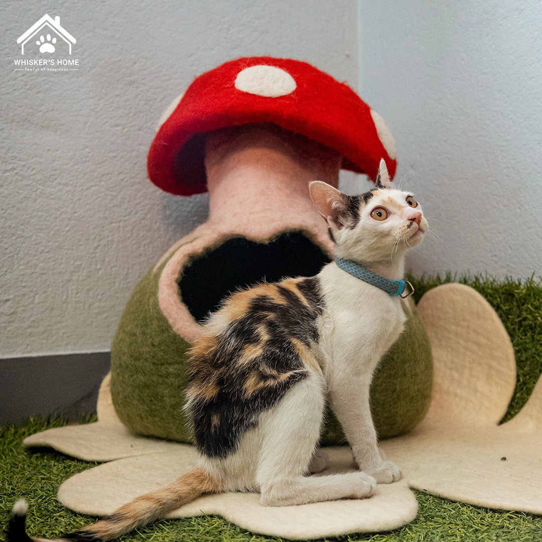 Handmade Felt Cat Caves and Cozy Wool Cat Beds – Whisker's Home